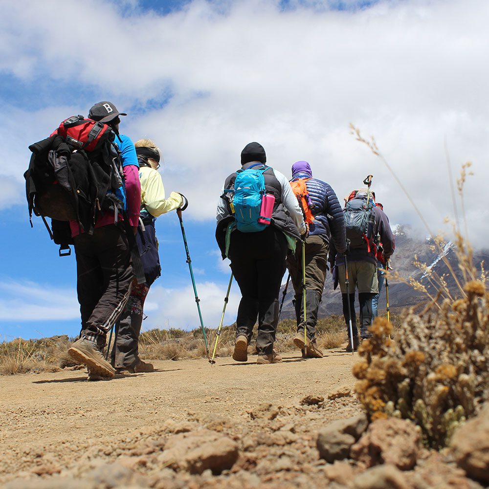 Kilimanjaro Rongai Route 7 Days