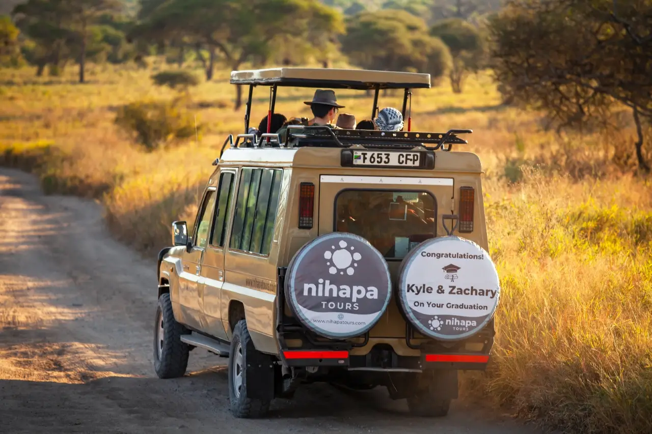 Tanzania Safari Tours 2025/26 - The Complete Guide by Nihapa Tours