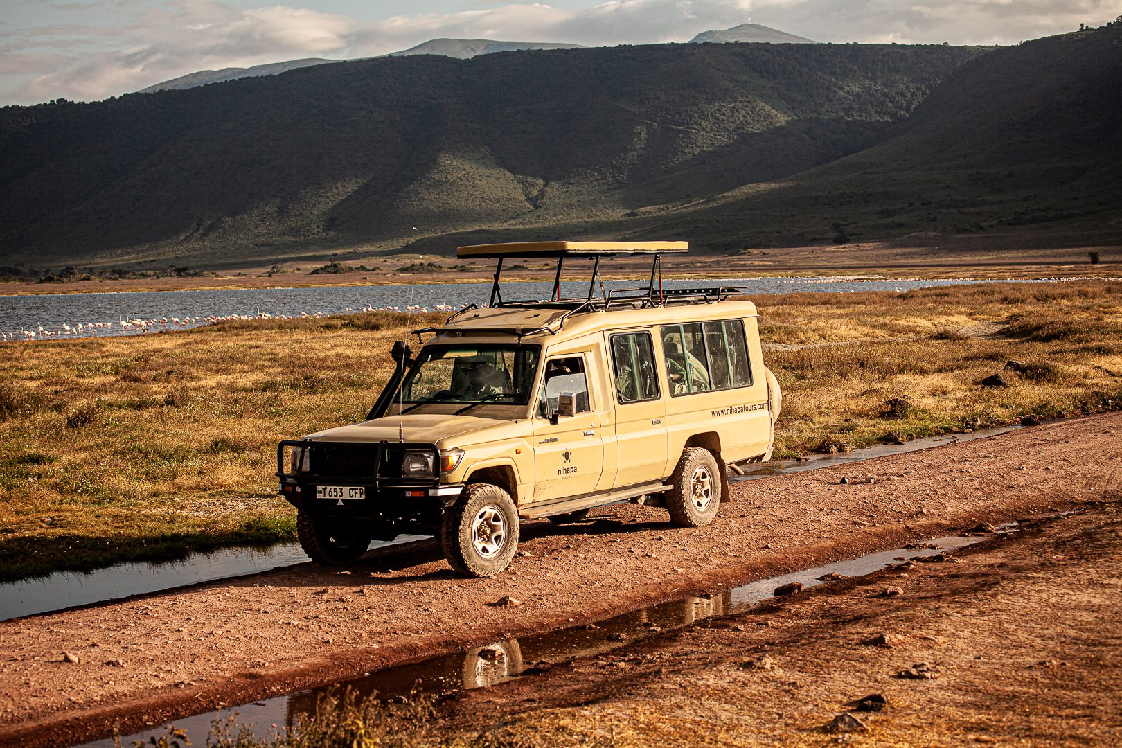 Tanzania Safari Tours 2025/26 - The Complete Guide by Nihapa Tours